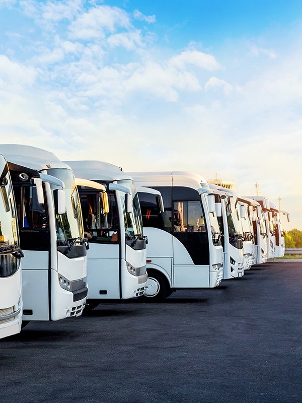 Corporate Bus Hire vs Other Transportation Options: Making the Right ...